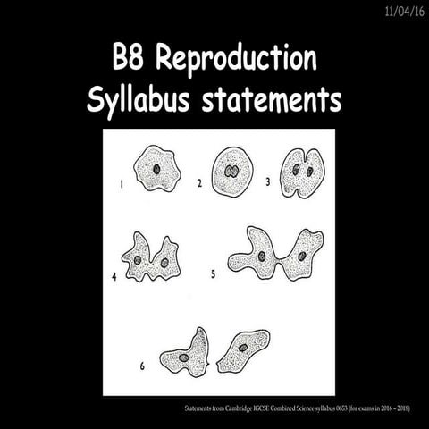 Combined sci b8 syllabus | PPT