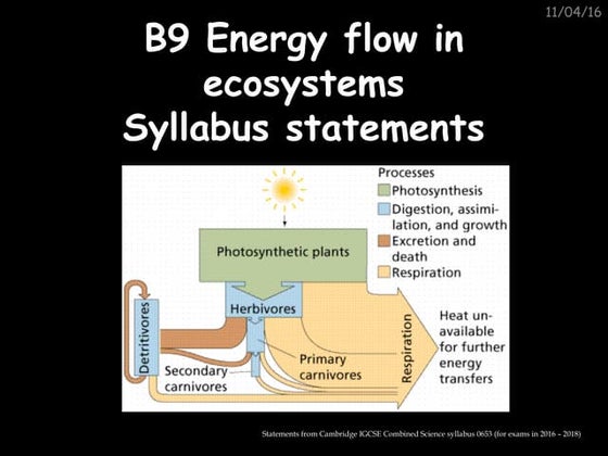 Combined sci c1 syllabus | PPT
