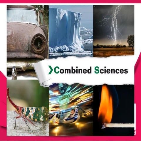COMBINED SCIENCES - HPS primaria y secundaria | PPT