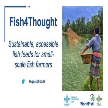 Fish4Thought: Sustainable, accessible fish feeds for small-scale fish ...