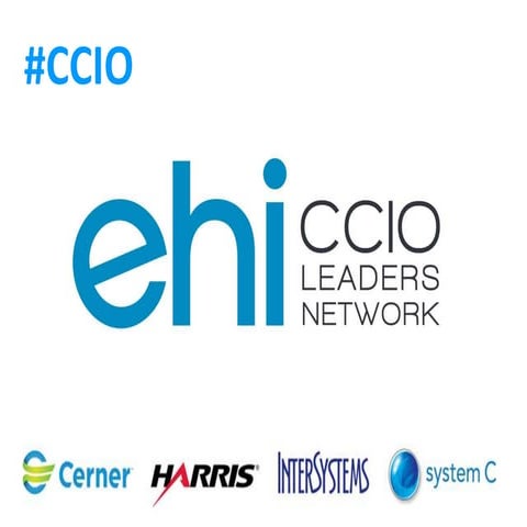 Combining the role of clinical information leader and patient safety ...