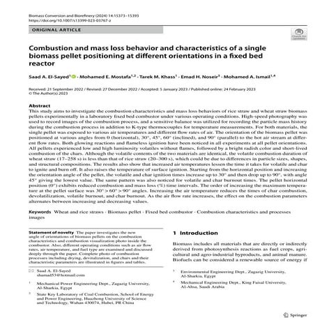 Combustion and mass loss behavior and characteristics of a single ...