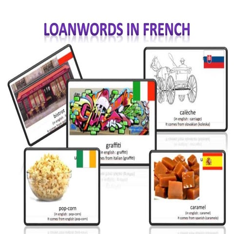 Comenius activité 9 | PPTX