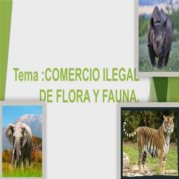 COMERCIO ILEGAL DE FLORA Y FAUNA.pptx pa | PPTX