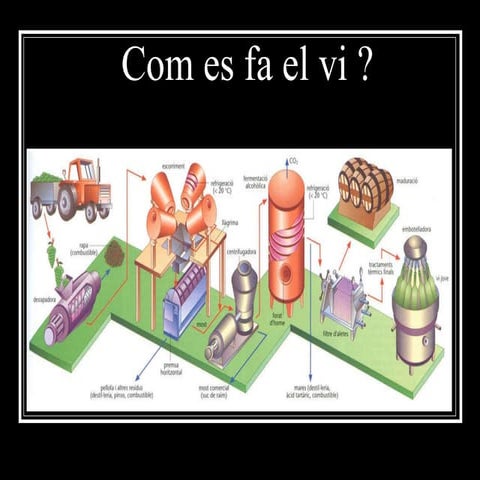 Com es fa el vi | PPT