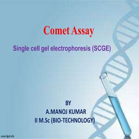 Comet assay | PPTX