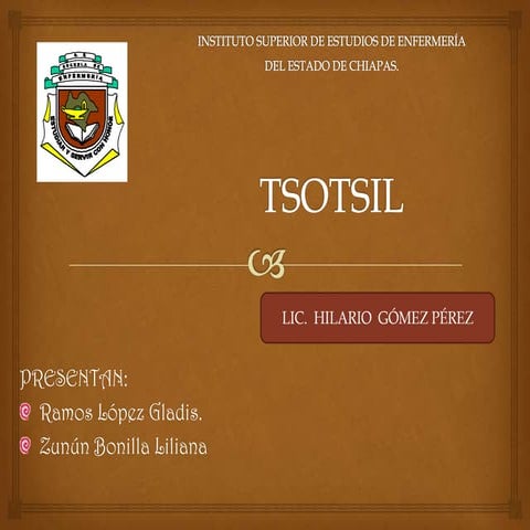 Comidas, cosas de una casas, colores en tsotsil.c. | PPTX