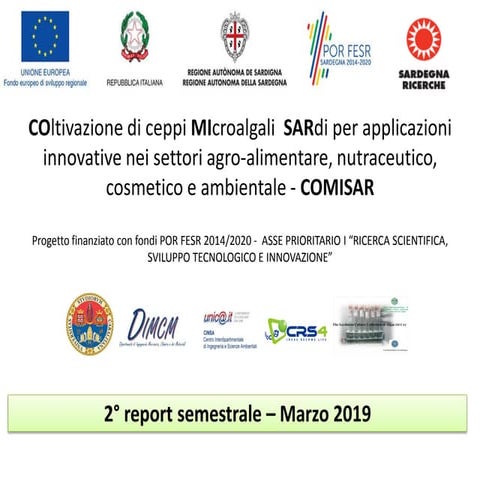 Progetto Comisar - Aggiornamento attività II semestre | PDF