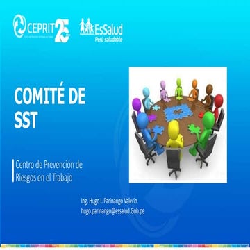 COMITÉ DE SST.PPTX