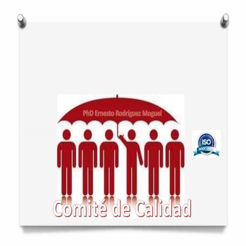 COMITE DE CALIDAD.pptx