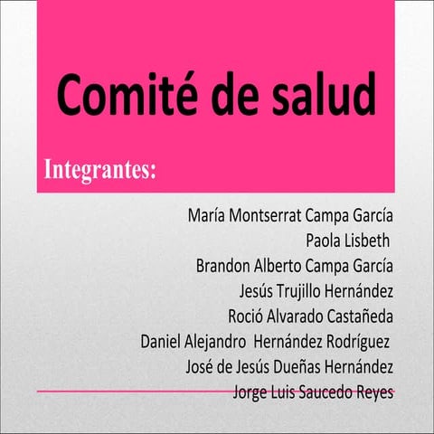 Comite de salud | PPT