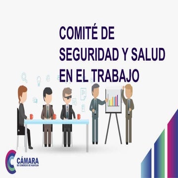COMITE DE SEGURIDAD.pdf