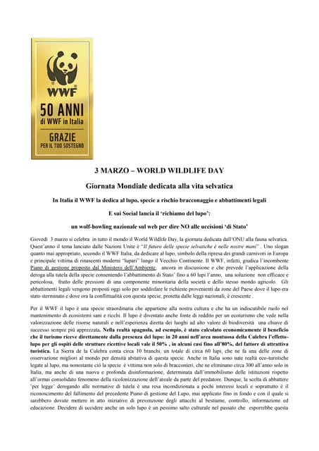 animali in estinzione | PPT | Birdwatching | Hobbies & Interests