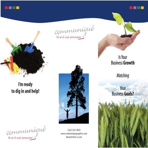 Comm Brochure Out | PDF