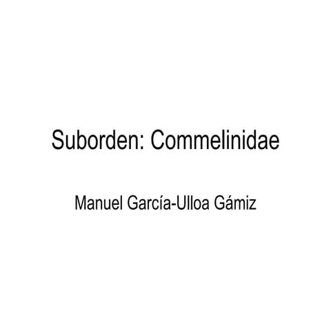 Suborden Commelinidae | PPT
