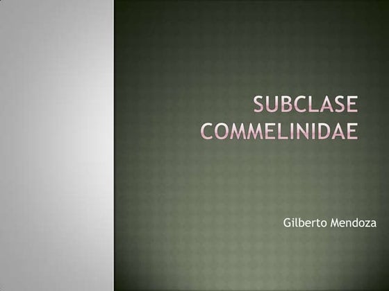 Sistema circulatorio aves y peces | PPT