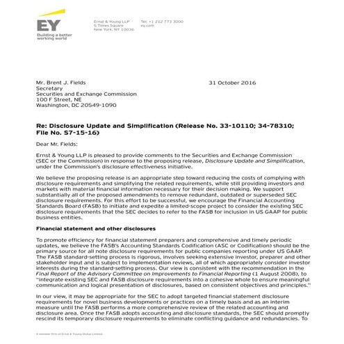 Disclosure Update & Simplification | PDF