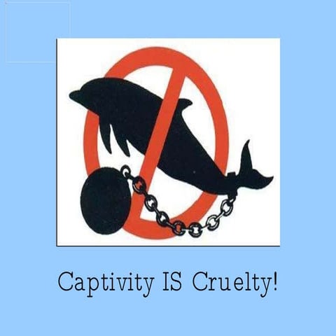 Captivity IS Cruelty | PPT