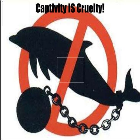 Captivity IS Cruelty | PPT