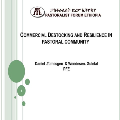 Commercial destocking in Pastoral community of Borena | PPTX