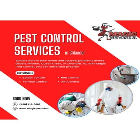 Ant Extermination at Magic Pest Control in Gilbert, Queen Creek, and ...