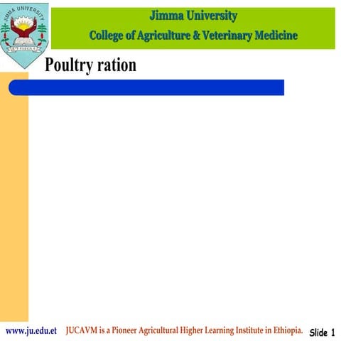 Commercial poultry ration in Ethiopia.pptx