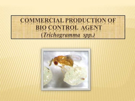 pesticide calculation and the methods to handle them | PPTX | Agriculture | Industries