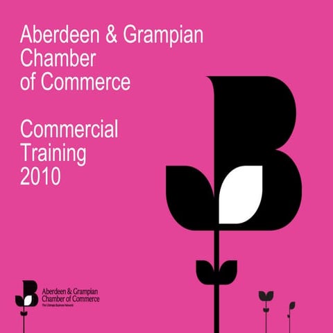 Commercial Training Presentation 2010 | PPTX