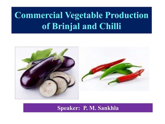 Production technology of Cucumber | PPT