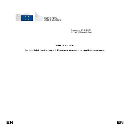 European Commission plan for regulating artificial intelligence in the ...