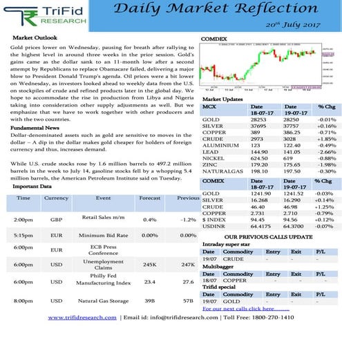 Commodity premium report 20 th july | PDF