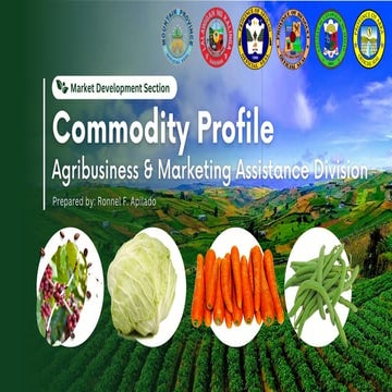 Commodity Profile in the Cordilleras PDF.pdf