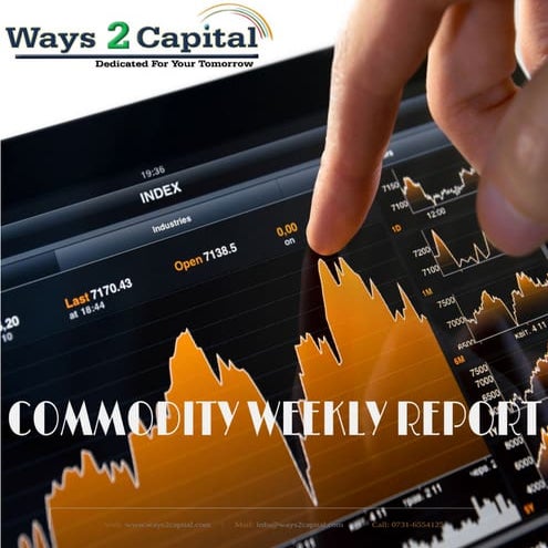 Commodity report by ways2capital 29 july 2014 | PDF