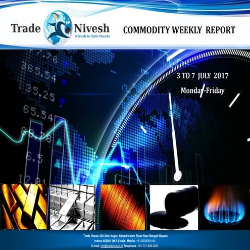 Norex newsletter january 2020 | PDF