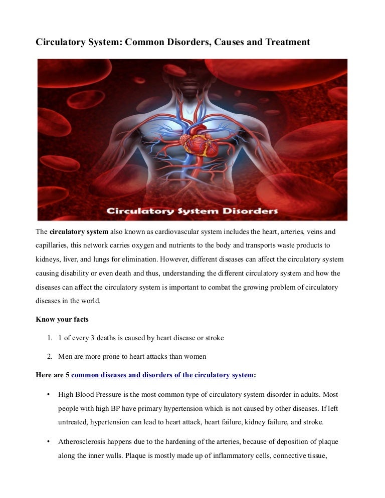 Common Circulatory System Diseases common-circulatory-system-diseases