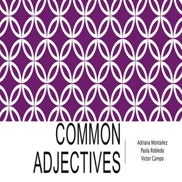 Common adjectives | PPTX