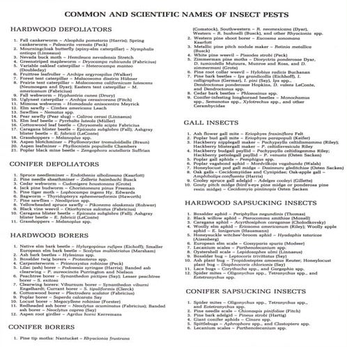 Common and scientific names of inscet pests | PDF