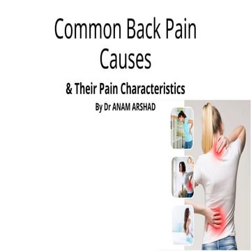 Common Back Pain Causes power point prsesentation | PPTX