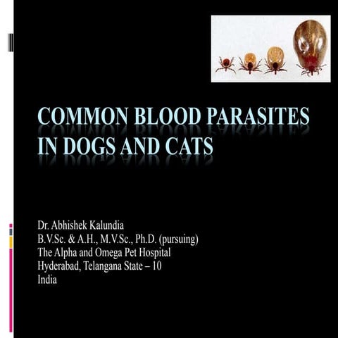 Common blood parasites in dogs | PPSX