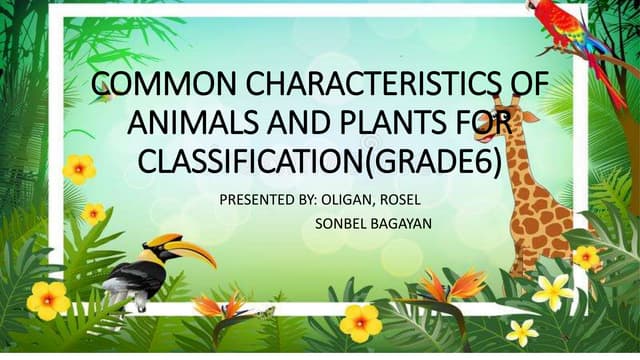 Lesson plan on classification of animals | DOC