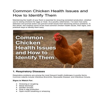 Common Chicken Health Issues and How to Identify Them | PDF