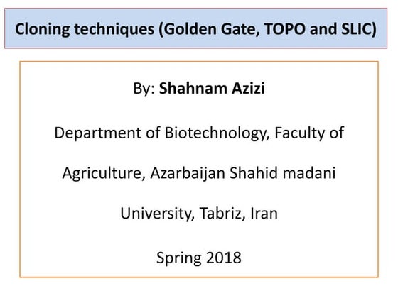 Barnase and bartar system | PPT