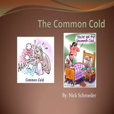 Common Cold Powerpoint | PPTX