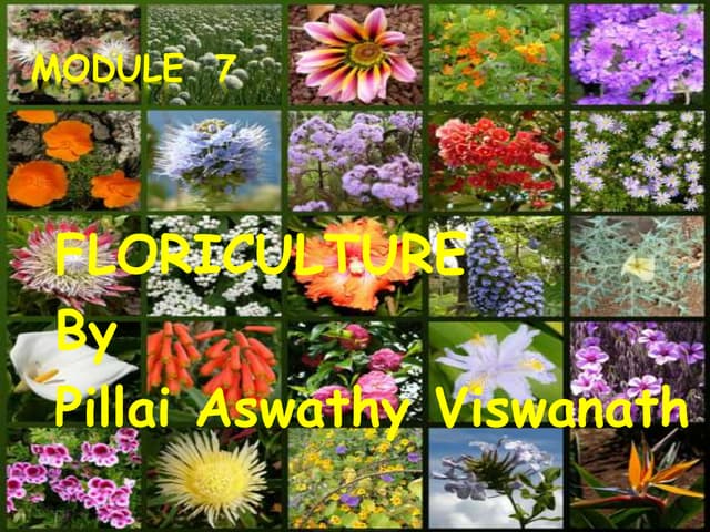 Flowers PPT by Aditya Sharma | PPTX