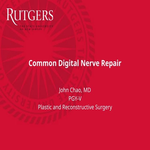 Common digital Nerve Talk with anatomy slides | PPTX
