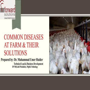 Common diseases at Poultry Farm & their solutions | PPTX