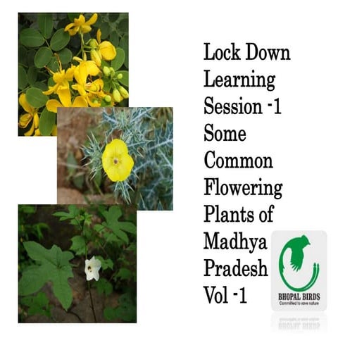 Common Flowers of Madhya Pradesh | PPTX