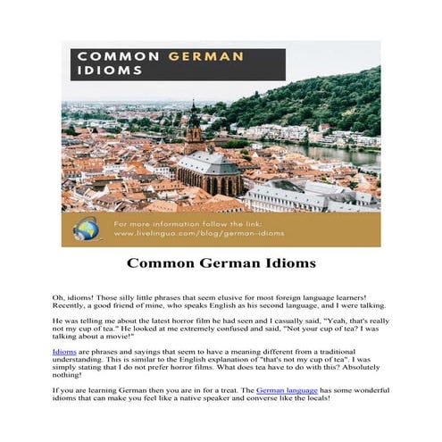 Common German Idioms | PDF