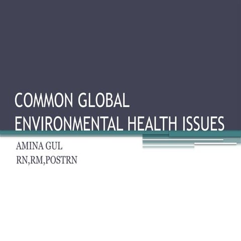 COMMON GLOBAL ENVIRONMENTAL HEALTH ISSUES.pptx