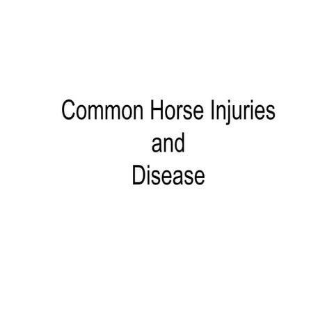 Colic in horses | PPTX
